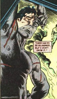 Gotham Alleys: Batman's Physique