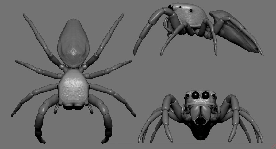 Eric Keller's Portfolio: Jumping Spider revisions