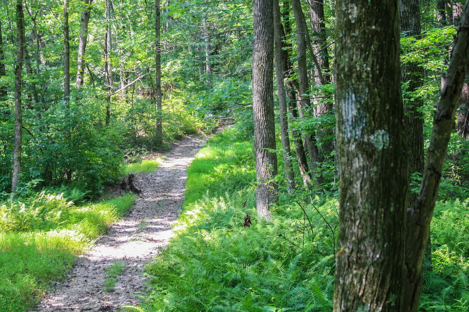 Natural Mid-Atlantic : MD Mason Dixon Trail - Map 7: Northeast to ...