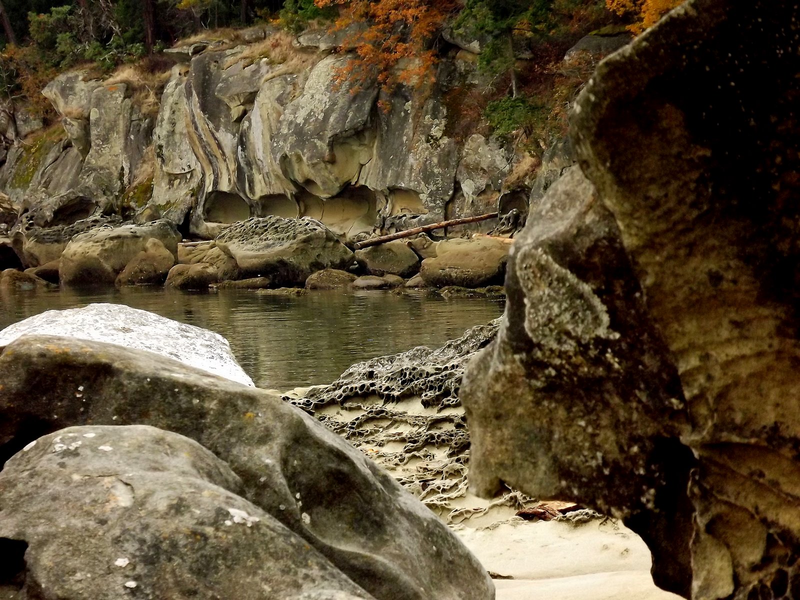 Beaches of Vancouver Island: Sandstone Beach along Jack Point