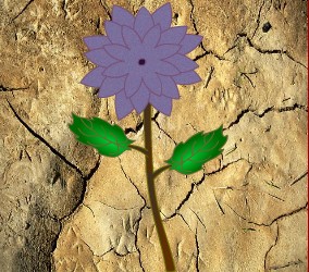 Science Projects By VIkram KHorwal: -: MAKING A WEATHER-INDICATING ...