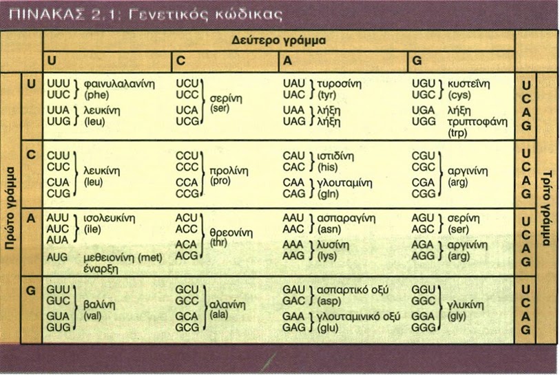 Βιολογία Χημεία Γεωλογία Γεωγραφία: Γενετικός Κώδικας (θα τον ...