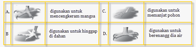 berbagainfo: Soal Tujuan Adaptasi Hewan dan Tumbuhan berbagainfo: Soal Tujuan Adaptasi Hewan dan Tumbuhan