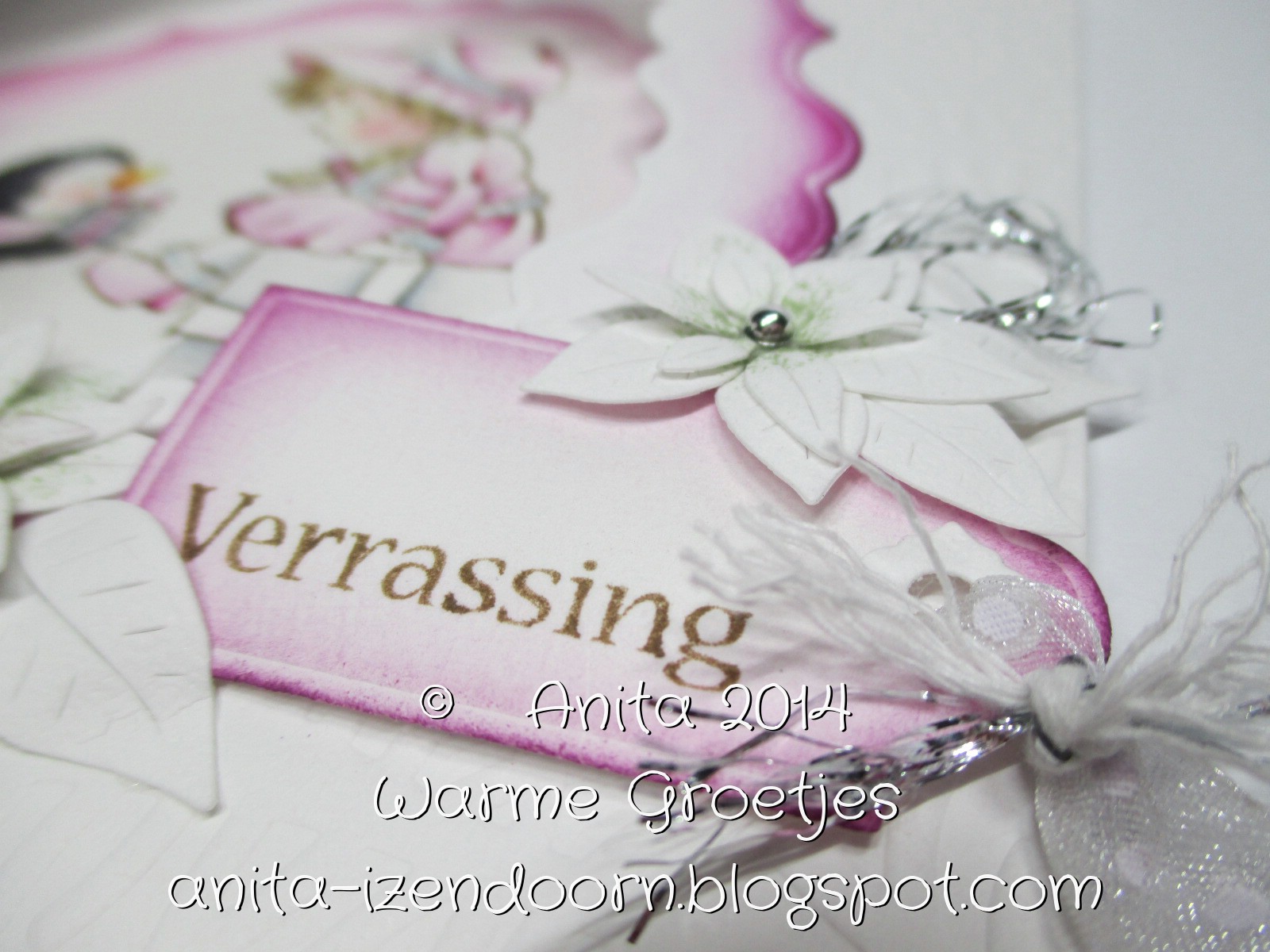 Anita 's Warme Groetjes: Verrassing