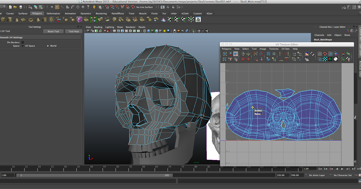 Animation - Studio Practice: Modelling a skull in maya