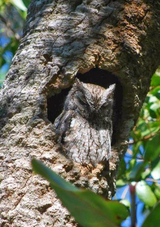 Josh Higham Florida field course