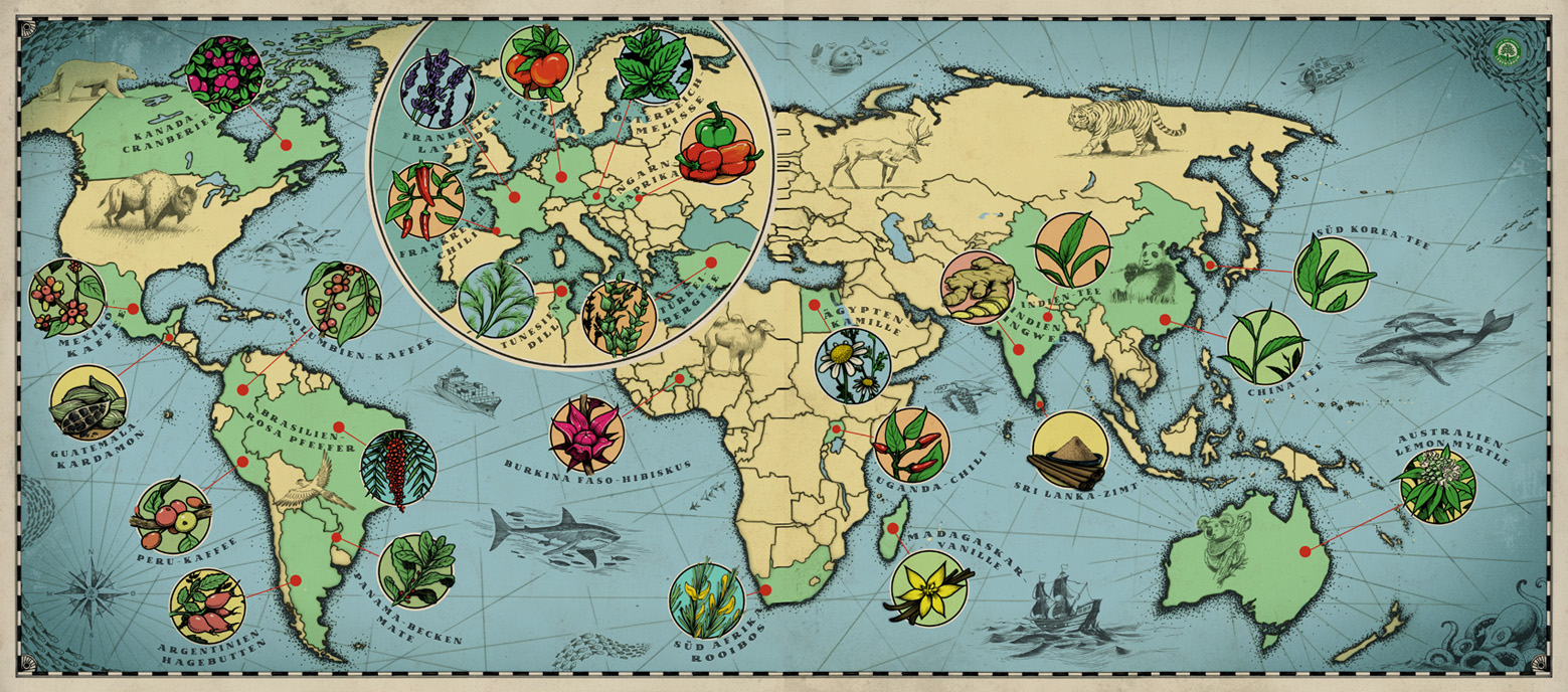 Hey!: Lebensbaum Worldmap