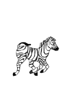 Zebras - Cia dos Gifs