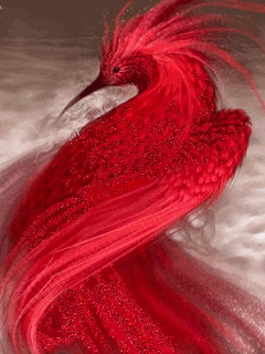 Animated GIF: Red Phoenix