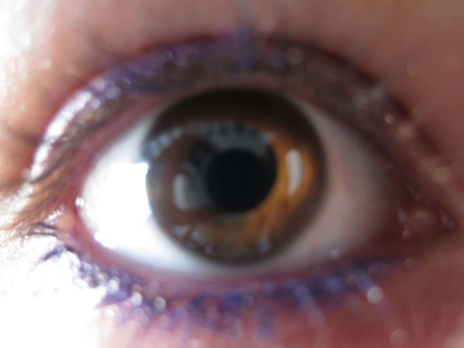 EL BLOG DE ANITA NOIRE: enero 2012