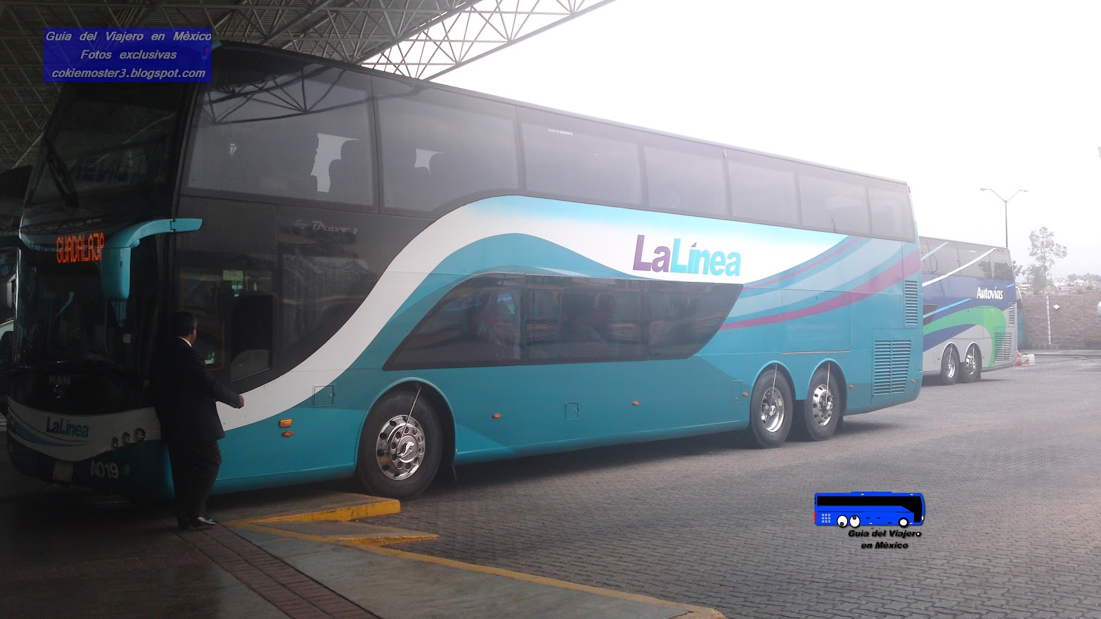 Transportes Publicos: La Linea