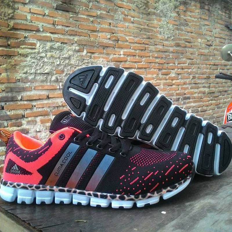 Adidas Climacool Two Tone | Omsepatu.com