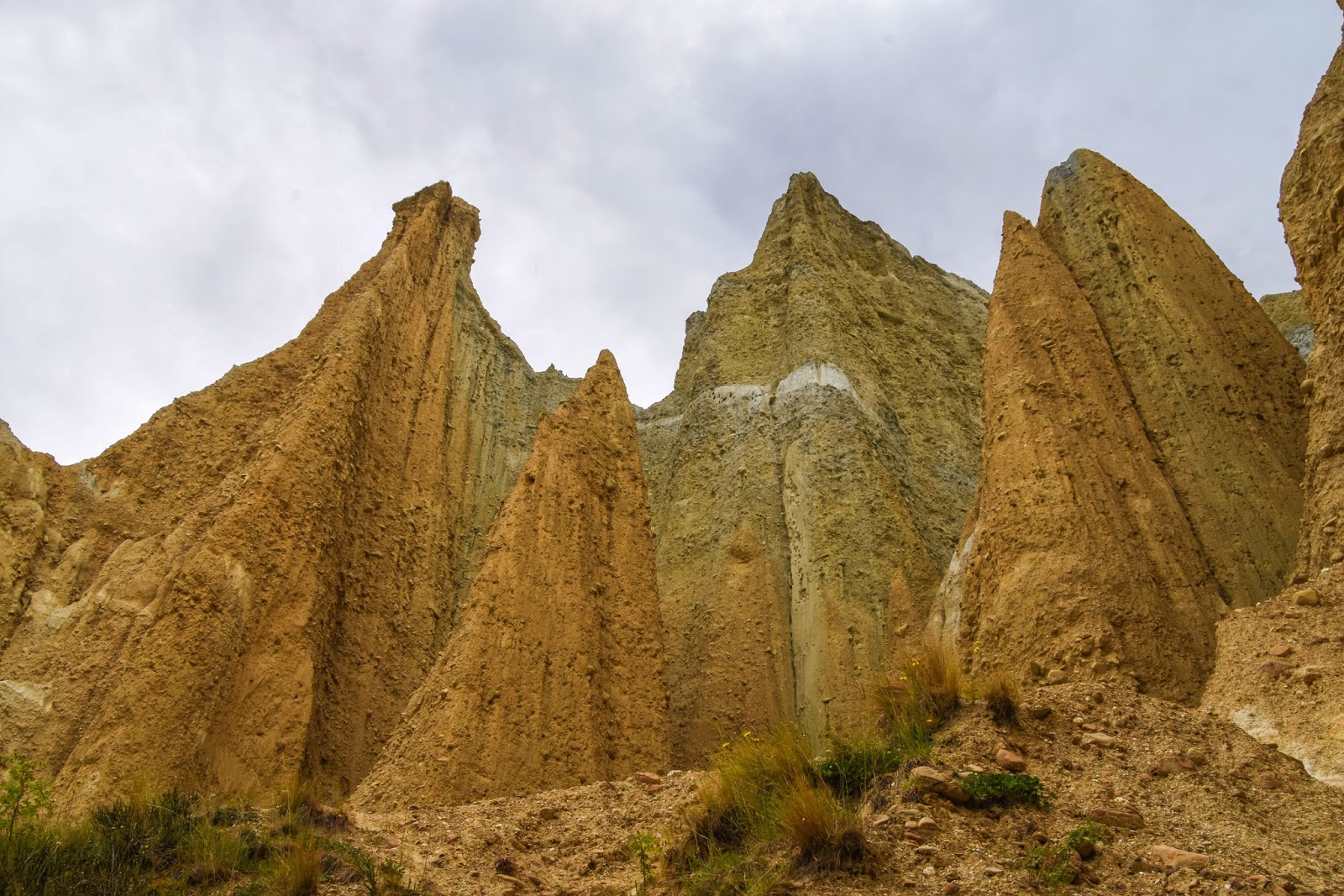 Paws Awhile: Omarama's Clay Cliffs