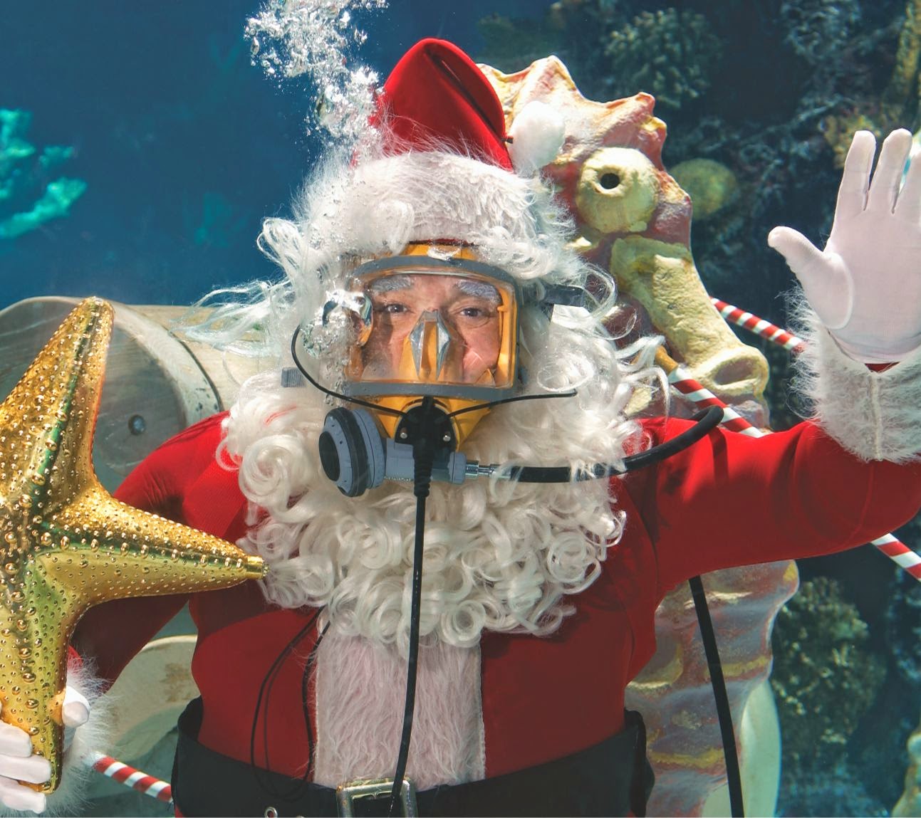 Planet Earth Diver: Scuba Santa