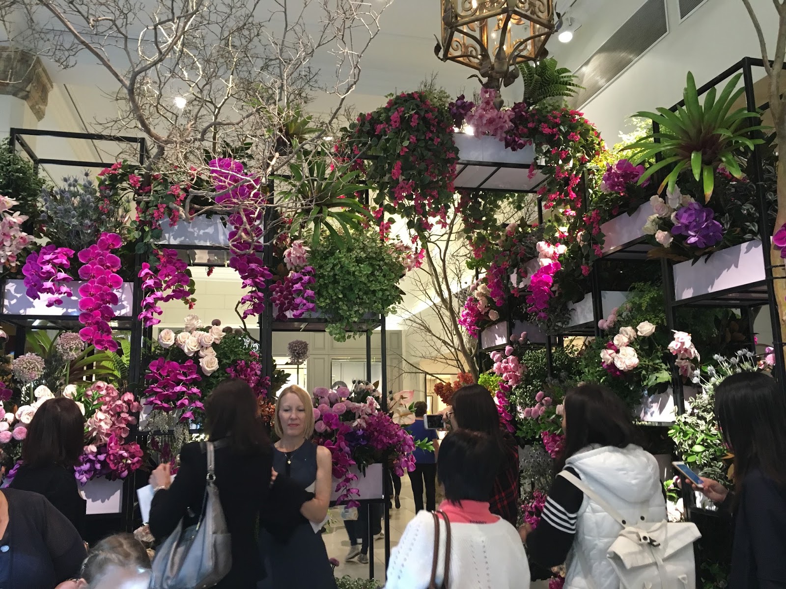 Urban Flower: David Jones Sydney 2016 Flower Show
