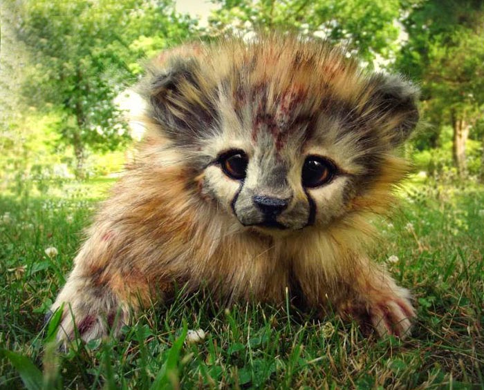 White Wolf : Incredibly Realistic Baby Animal Toys By Lee Cross (PHOTOS)