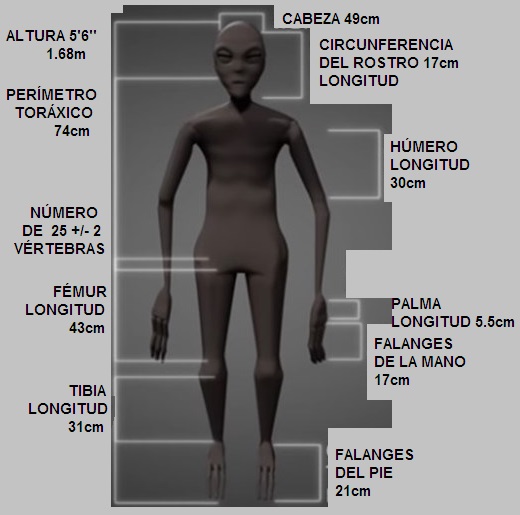Los secretos de María, la momia de Nazca - Agencia DAF