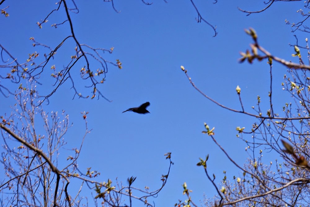 Harriman Hiker: Harriman State Park and Beyond: Buttermilk Falls and ...