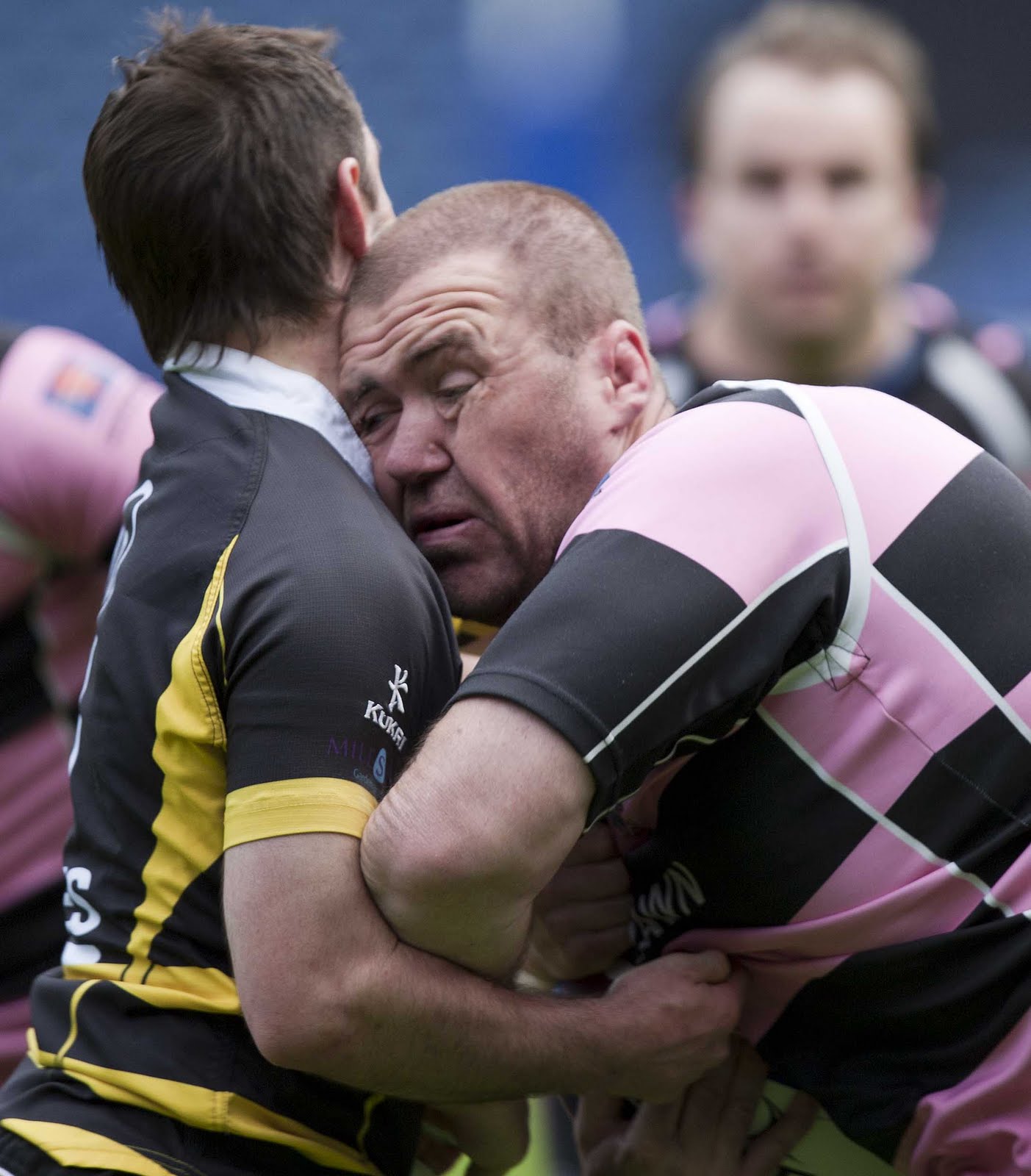 Ayr Rugby Club Latest News: Ayr's Big Season of Representative Rugby
