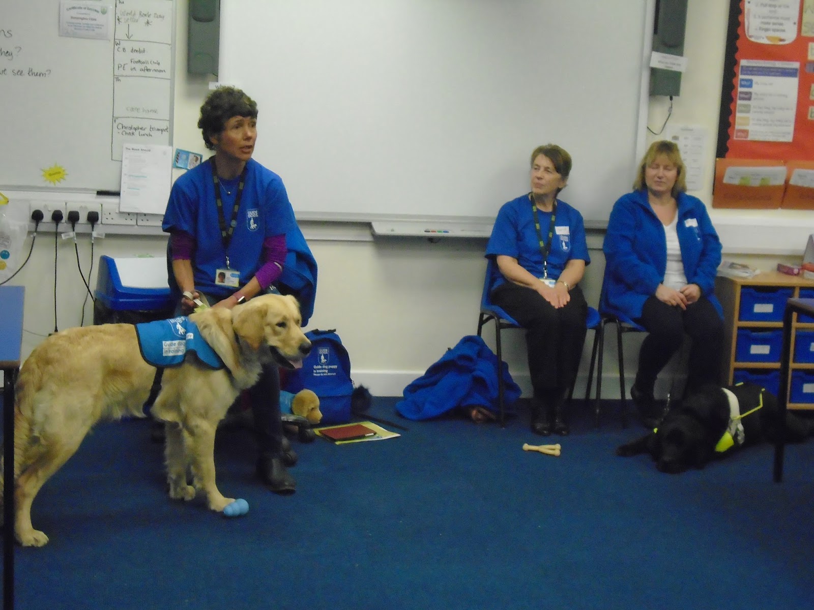 The Castle School, Newbury: Guide Dog Visit