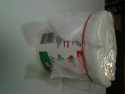 Simply Made By Mama.....Back to Basics: Yogurt, Greek Yogurt, and ...