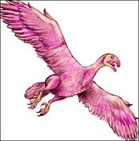 Fossil Adventure: Aparecieron las aves..... y vienen volando.