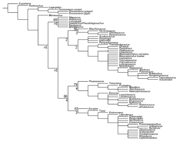 The Theropod Database Blog: Ornithoscelida Lives!