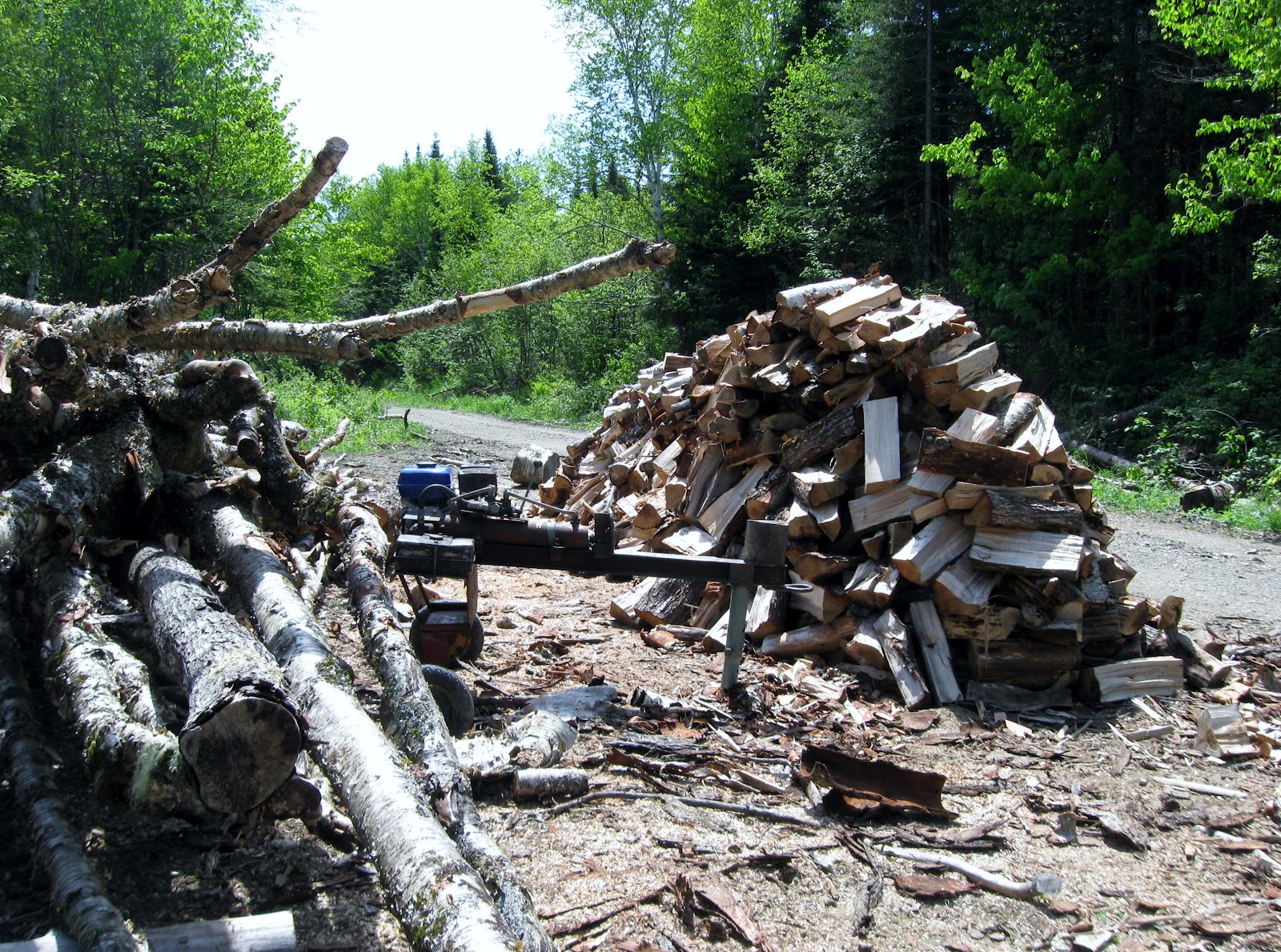 Allagash Maine ~ Life at Tylor Kellys Camps: Darlene's Birthday