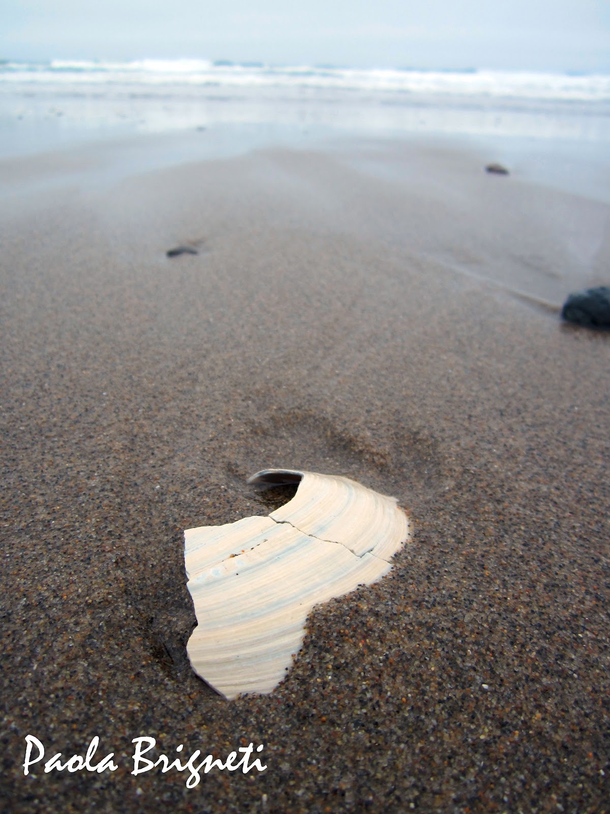 World Photos by Paola: Use your feet, walk places!