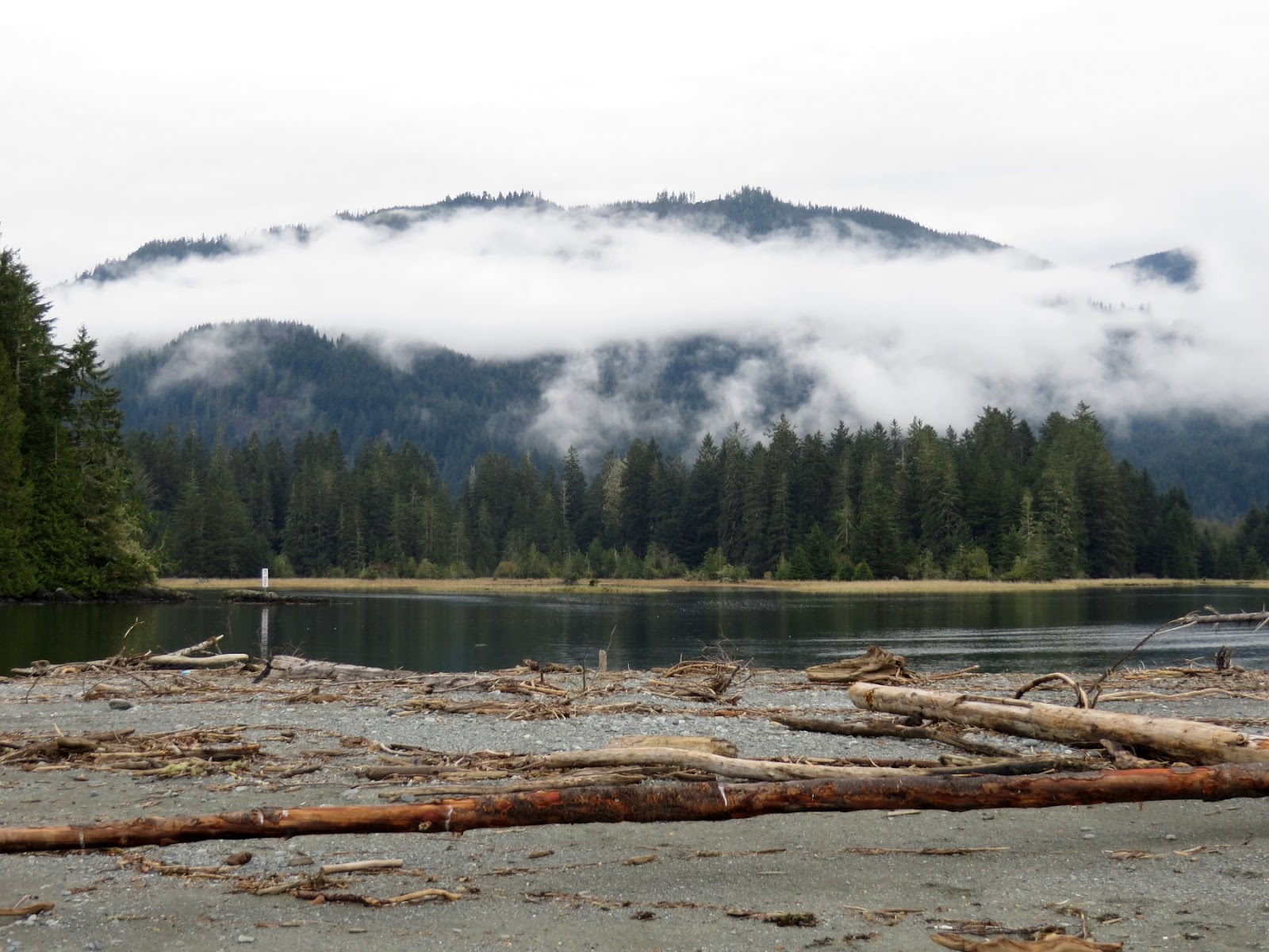 Gravel Beach: Pacheedaht Beach