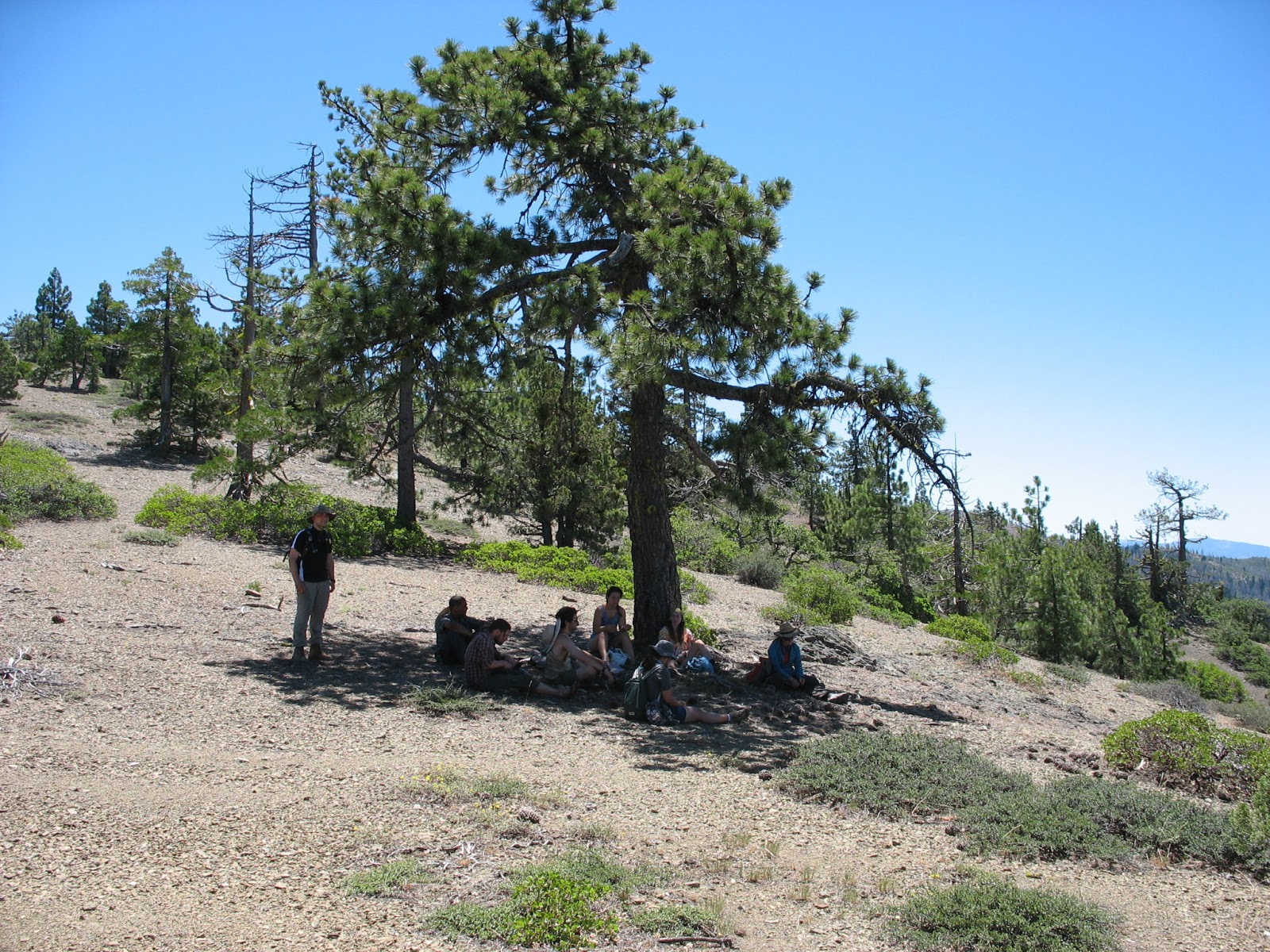 Sierra Institute Outdoor Report: California Wilderness: Find your Calling