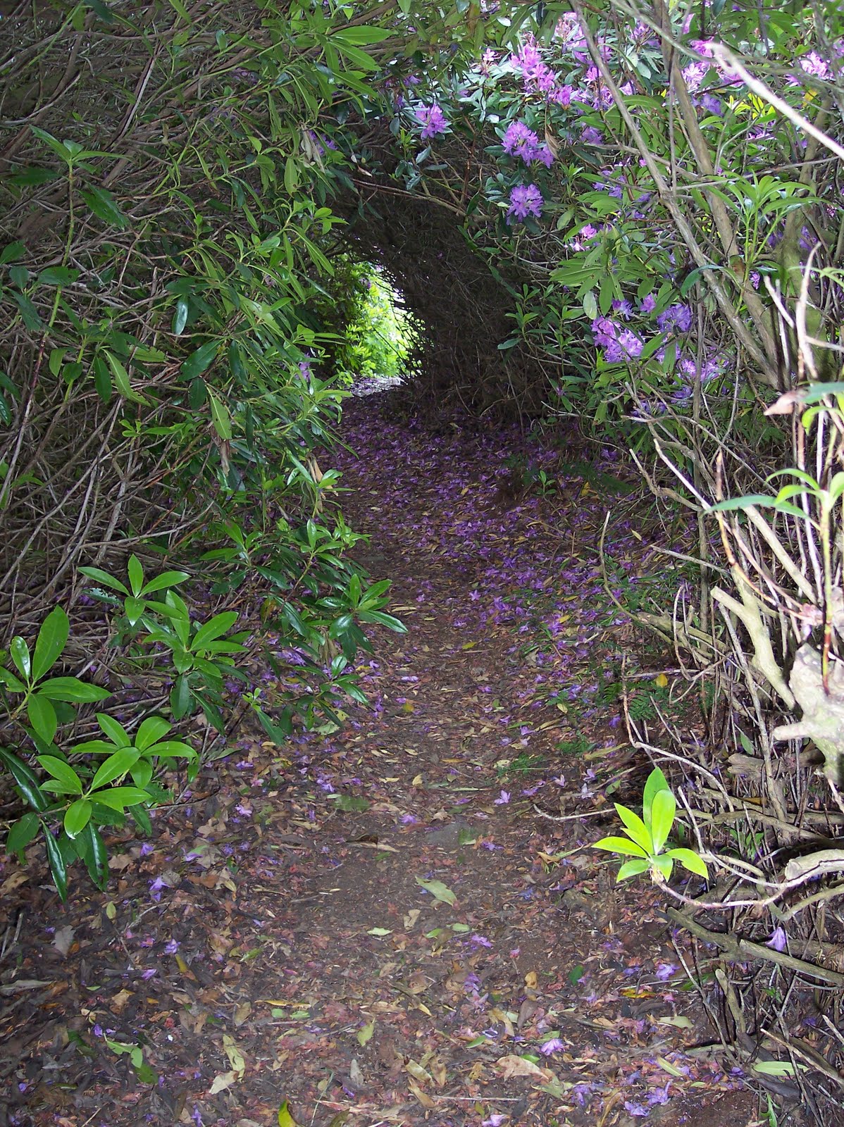 Endurance Adventures: The Baslow Boot Bash- Event Report