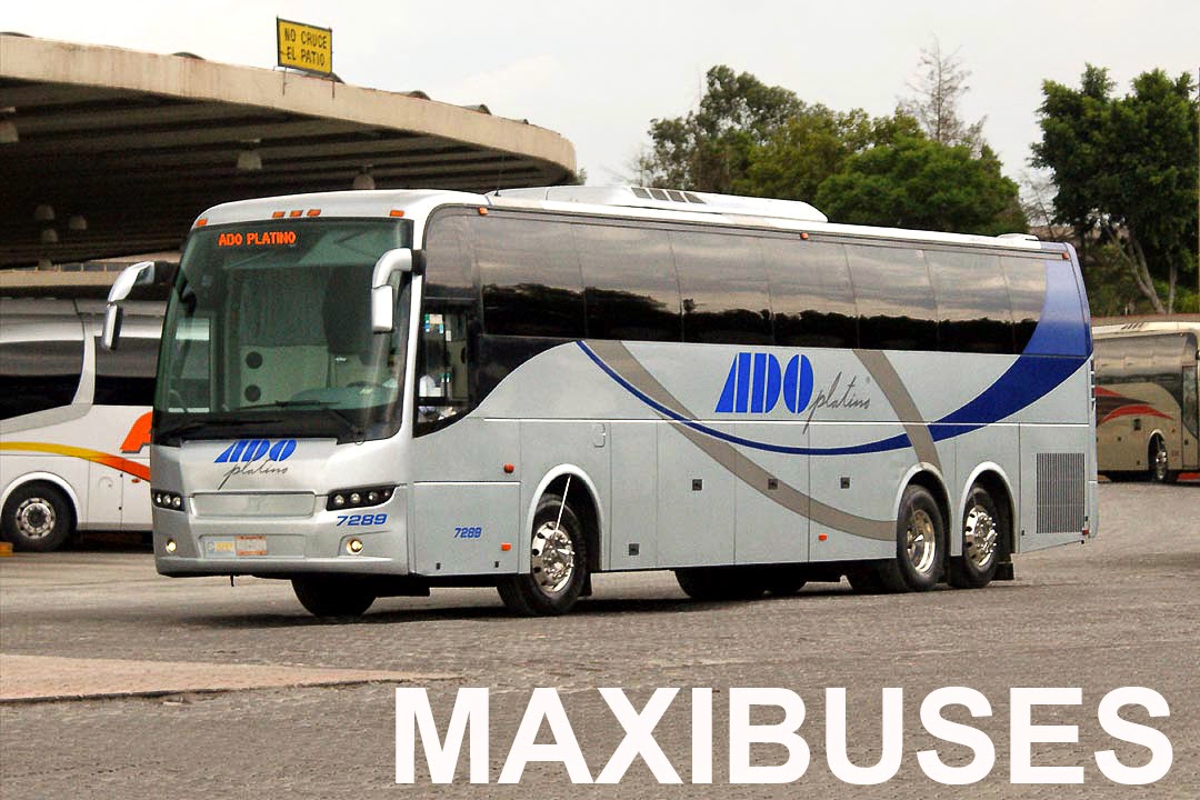 MAXIBUSES: ADO PLATINO