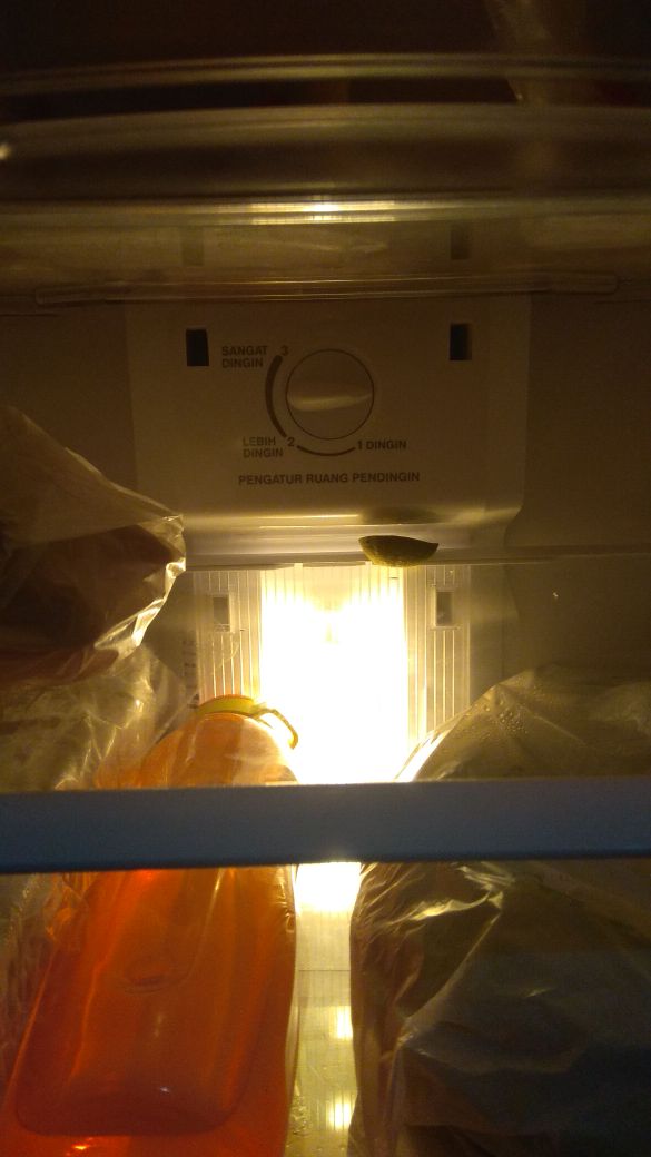 CARA SETTING PENGATUR SUHU KULKAS FREEZER SHOWCASE | SERVICE KULKAS ...