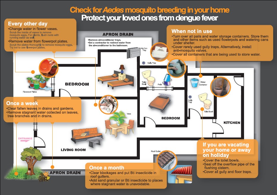 Exterminate Dengue by Using Abate Powder