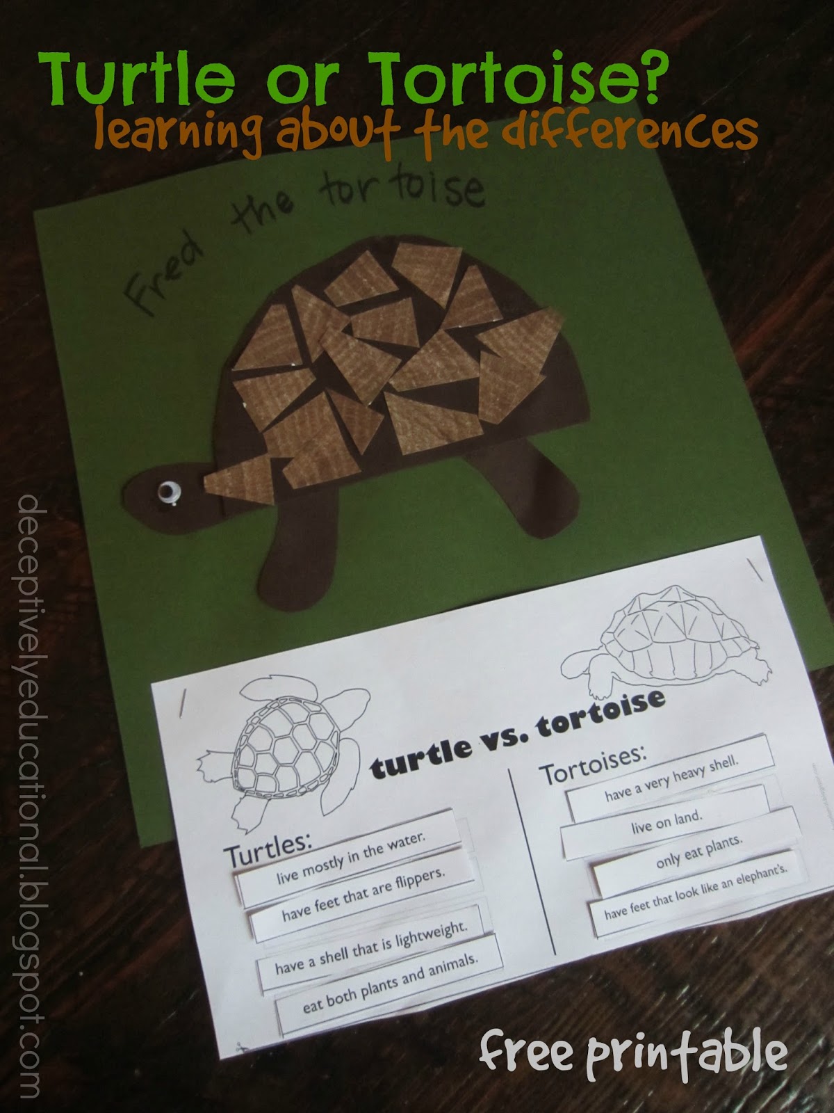 Relentlessly Fun, Deceptively Educational: Turtle or Tortoise? Reading ...