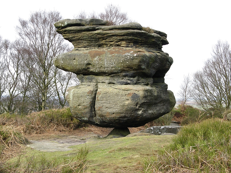 Teddy Tour Teas: Teddy Tours Brimham Rocks