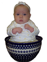 Polish Pottery Blog: Zaklady Polish Pottery Dinner Plate Patterns