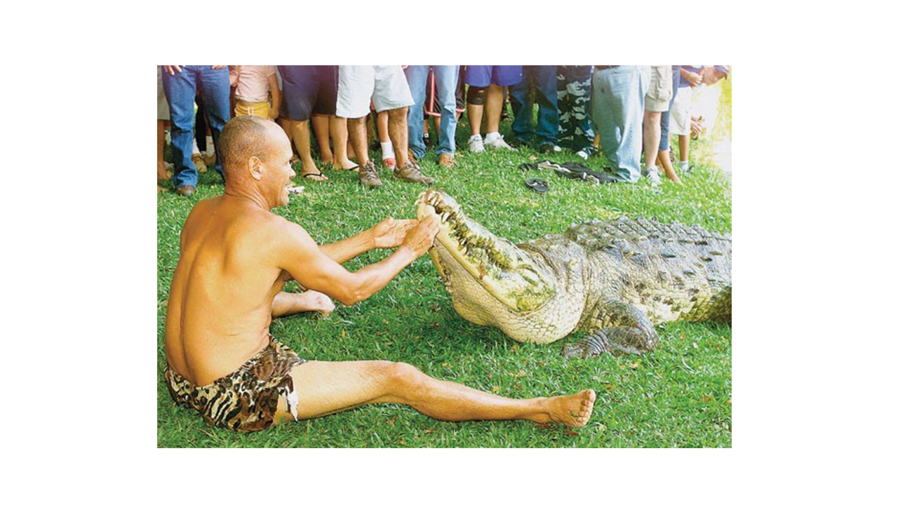 depo: Costa Rica Chito and Pocho The Famous Crocodile Man v2