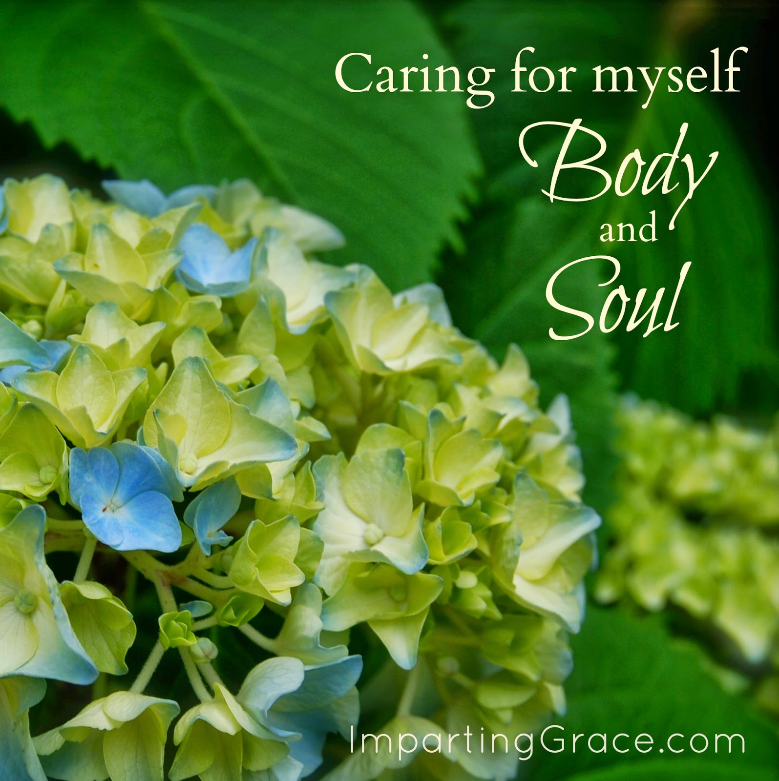 Imparting Grace: Caring for Myself Body and Soul 1:Why think about this?