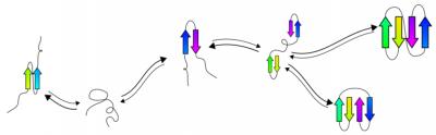 Biochemistry Den: Protein folding made easy