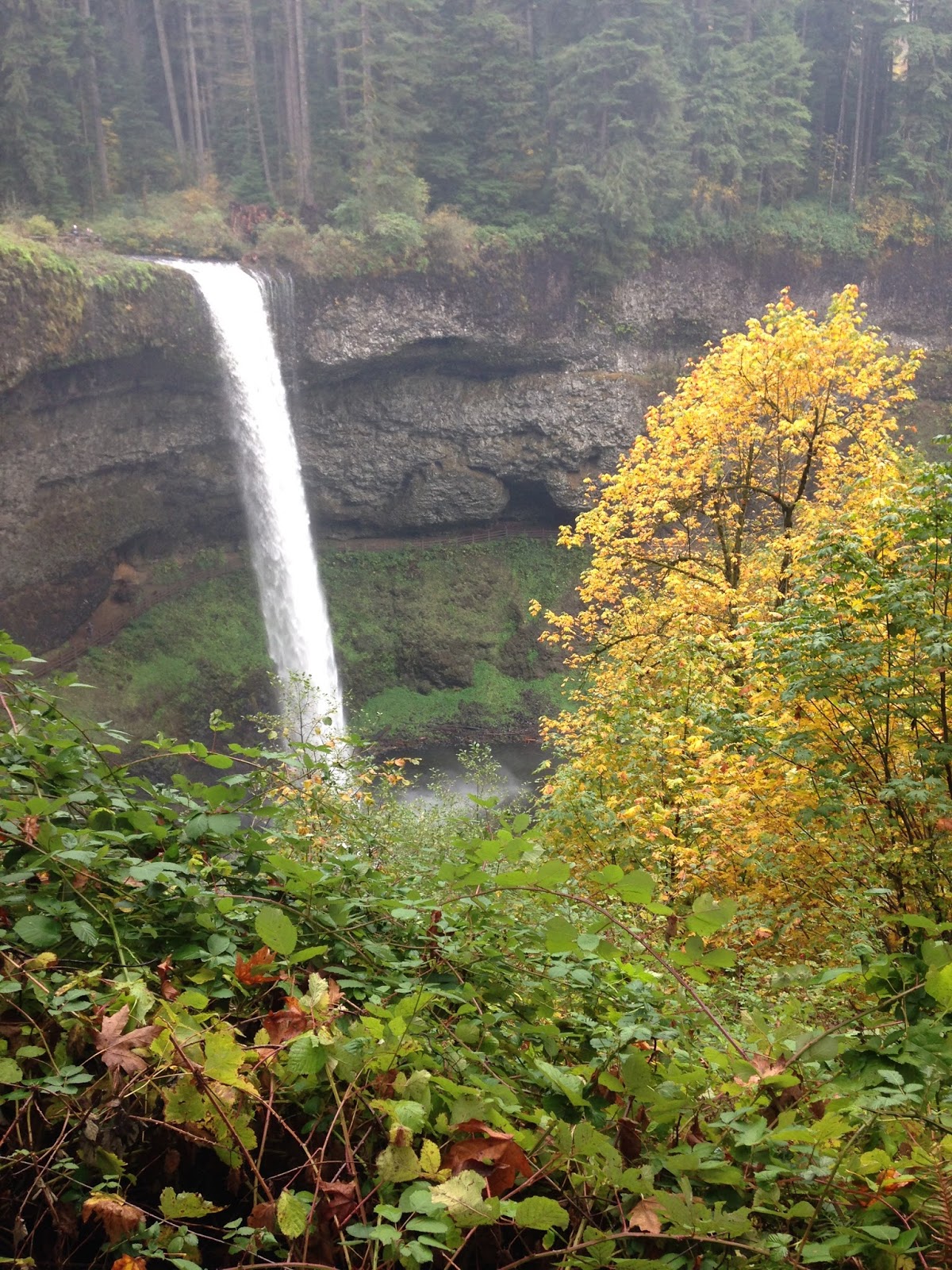 Quilt to the Edge....: Hiking Silver Creek Falls, Oregon