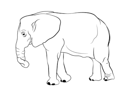 Mengambar gajah - Tutorial Mengambar