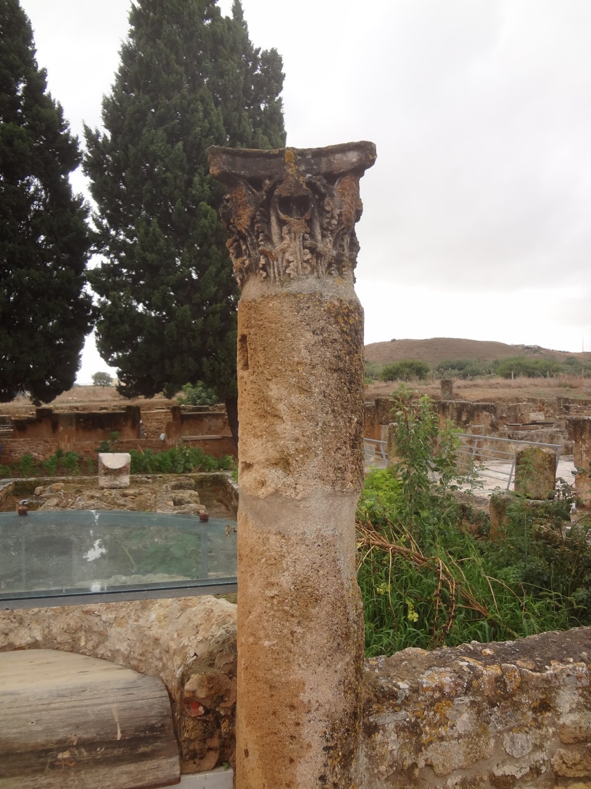 Sites archéologiques en Tunisie: Le site archeologique Utique