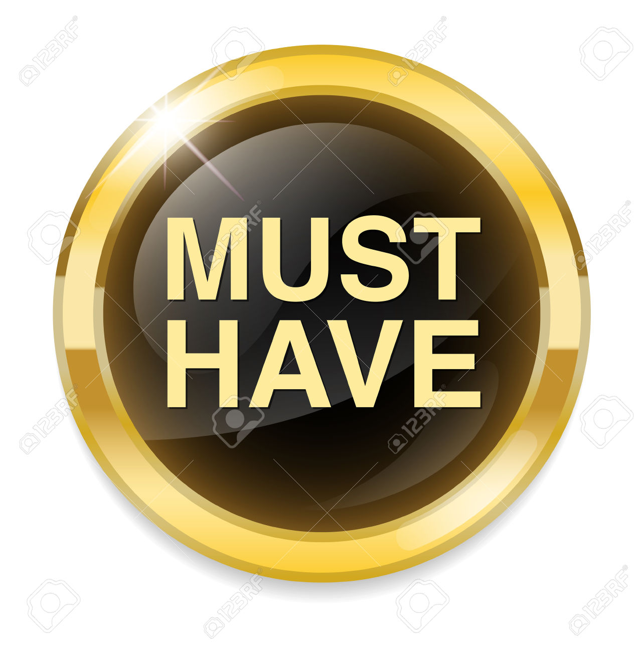 Paul Harris English 1: LESSON 2 - MUST & HAVE TO