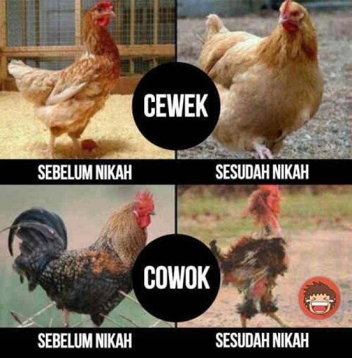 11 Meme Kocak Cewek Sebelum dan Setelah Menikah Ini Bikin Ngeri-ngeri ...