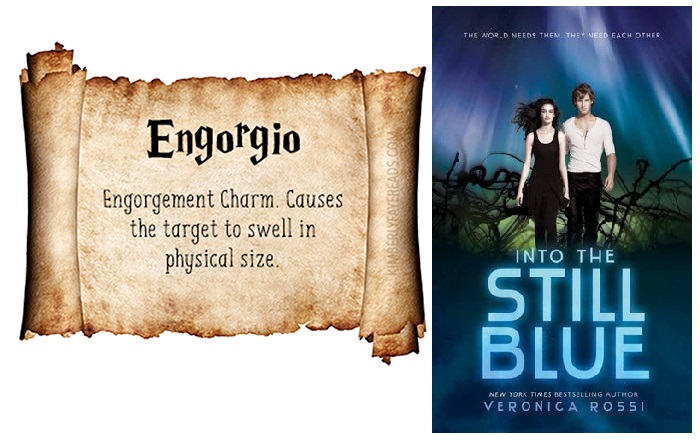 beyond the aisle: Potter Month: Harry Potter Spells Book Tag