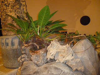 Tales and Stories of the 10,000 wpm Talking Mommah