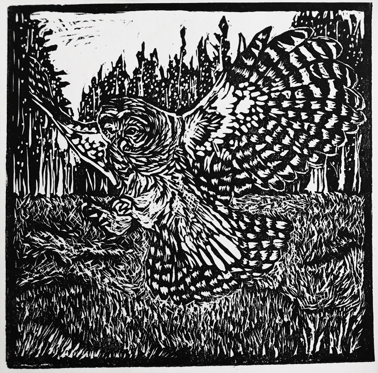 Words on Woodcuts: Black and White Owls In Flight: "Barred Owl", "Great ...