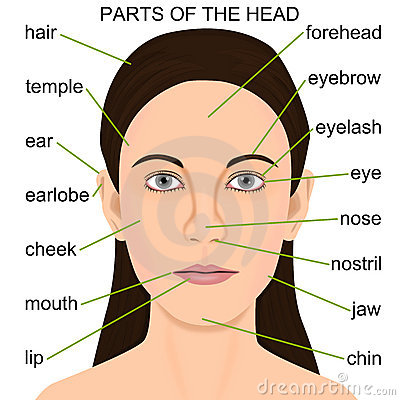 FILIPINO TUTORIAL: Parts of the Face